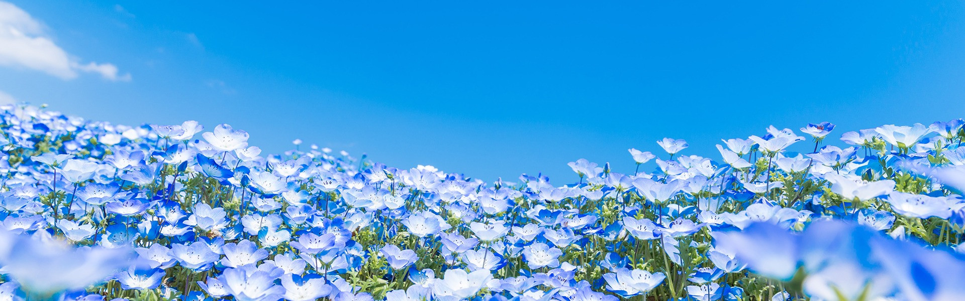 お客様の声 | 宮城県仙台市の整体ならmedical care OTO 仙台